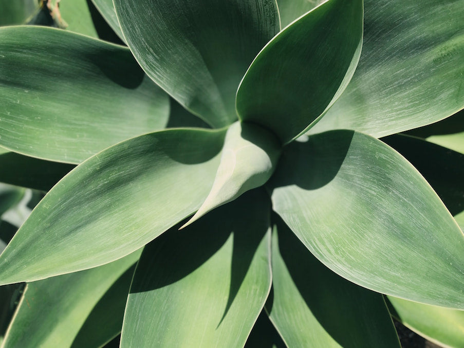 We're on the FreeFrom Awards Shortlist 2019! – FP